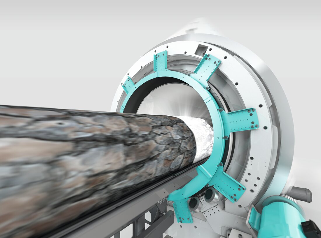 MiCROTEC - CT Log for hardwood
